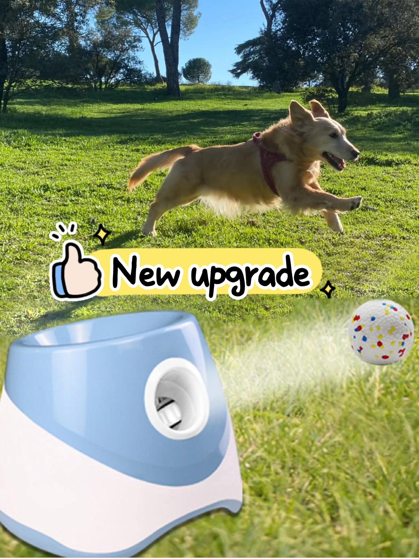 BOLT - Ball Launcher for High-Energy Pups